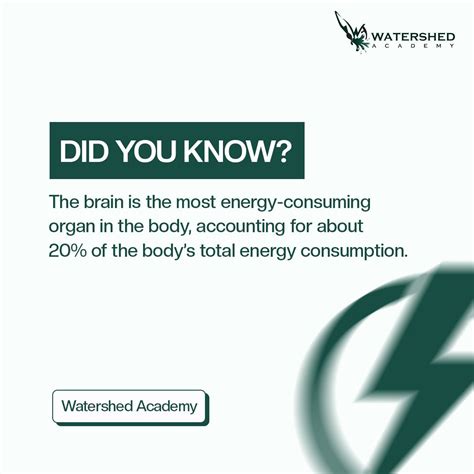 Watershed Academy Limited On Linkedin Didyouknow Friday Learning