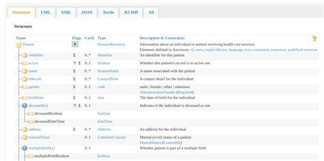 File FHIR Patient Sample Png BibbleWiki