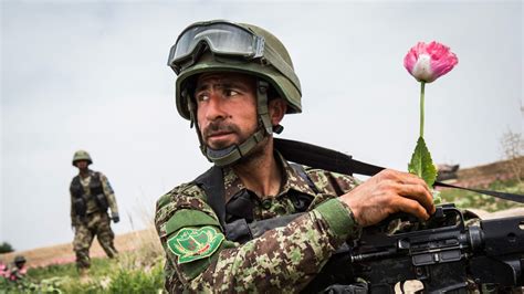 Afghanistan We Hardly Knew You