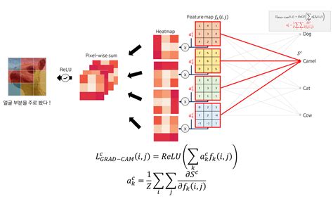 Cnn Visualization Cam And Grad Cam Tyamis Study Blog