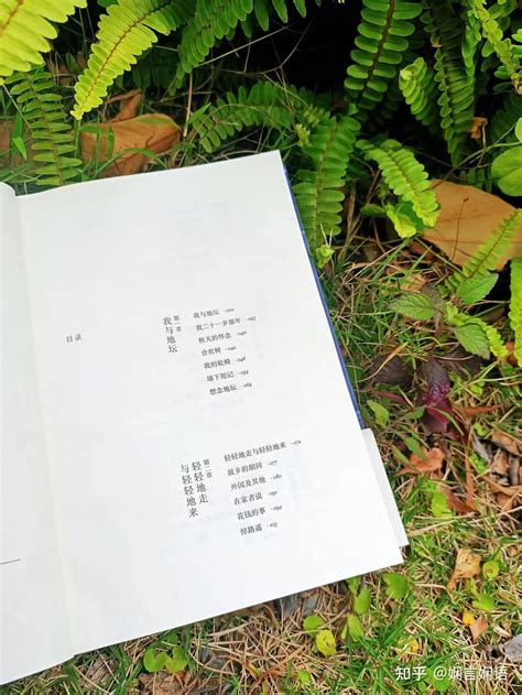 自由的夜行品读史铁生感受生命的坚韧与顽强 知乎