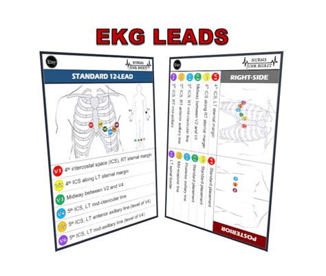 Badge Buddy Ekg Leads Etsy