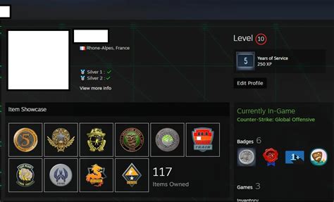 Conta Csgo Prime Muito Top Muitas Medalhas Xerife Counter Strike Dfg