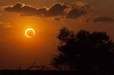 Next Annular Solar Eclipse After 2024 Marie Selinda