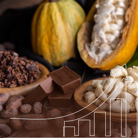 O Mercado de Cacau em Entendendo as Mudanças Recentes Suisse Chocolat