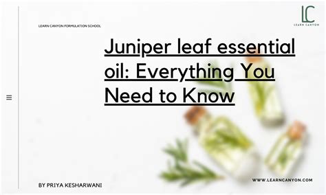 Juniper Juniperus Recurva Leaf Essential Oil