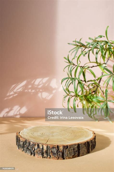 에코 제품의 프리젠 테이션을위한 나무 연단 나뭇잎과 자연 그림자가있는 나무를 자르십시오 Championship에 대한 스톡 사진 및 기타 이미지 Championship