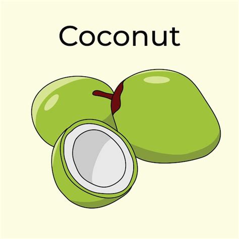 Vector De Ilustración De Fruta De Coco Vector Premium