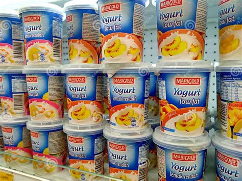 Yogurt In Commercial Packs Small Cup Size And Perfect For One Serving