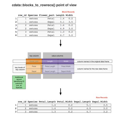 Block Records And Row Records • Cdata Block Records And Row Records • Cdata