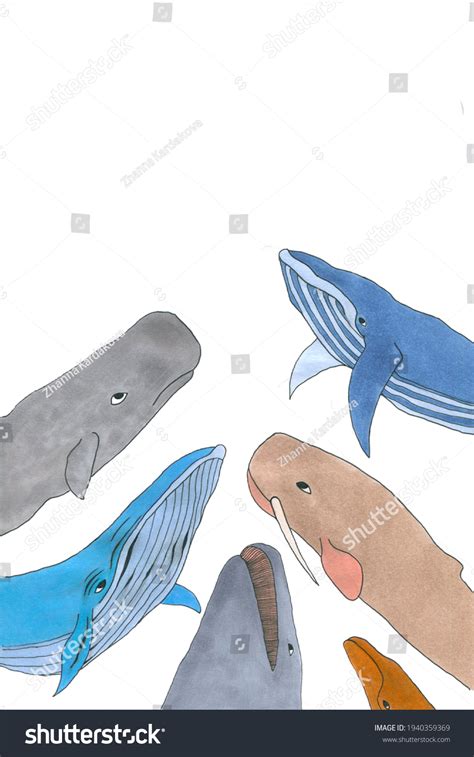 Naked Whale Royalty Free Images Stock Photos Pictures Shutterstock