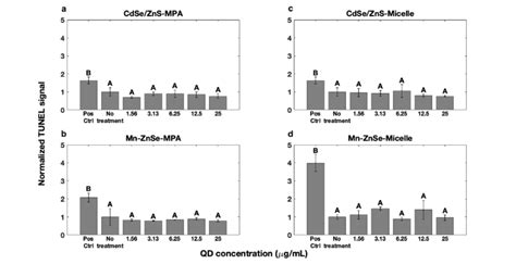 Assessment Of Dna Fragmentation For Ac Cdsezns And Bd Mn Doped