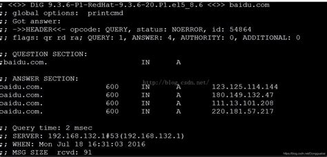 Linux 中 Dig 命令返回结果解释dig命令flag详解 Csdn博客