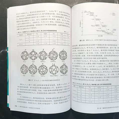 正版现货燃料电池催化剂——结构设计与作用机制 1化学工业出版社陈鑫、赖南君著虎窝淘