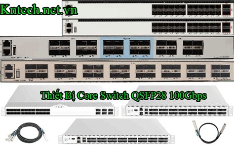 Core Switch 100gbps