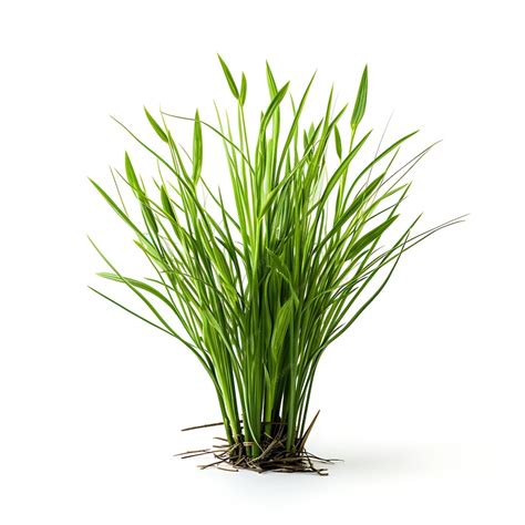 Premium Ai Image Trailblazer Switchgrass Grassy Green A Mini Bouquet