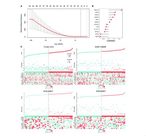 The Development Of The Rais Model Based On The Lasso Algorithm A Download Scientific