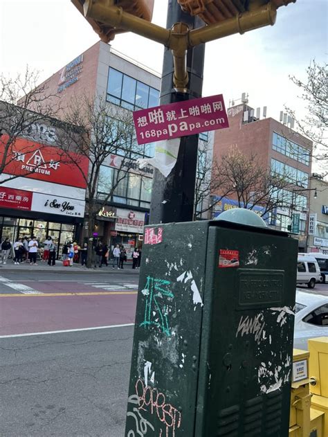 Chinese Sex Website… R Flushing