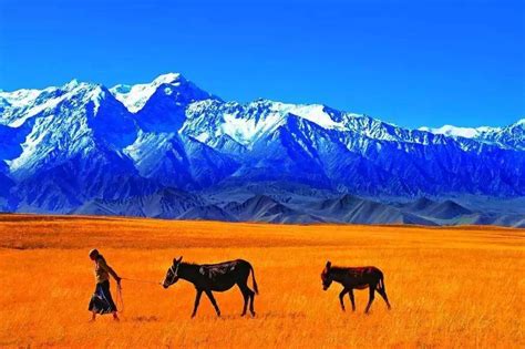 昆仑山旅游景点在哪里 昆仑山旅游 昆仑山在哪里 大山谷图库