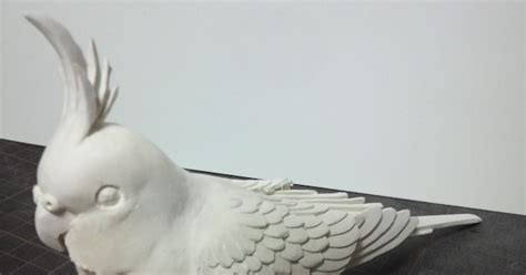 オカメインコ オカメインコフィギュア あかいチノリのイラスト Pixiv