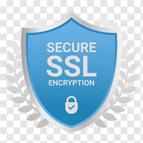 Shield Secure Ssl Protection Icon Sign In Blue Silver With Paddy Symbol