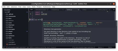 Docstrings And Type Hinting For Sublime And Sublimeplugin · Issue