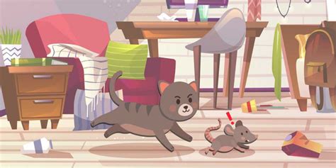 Do Cats Keep Mice Away Pest Myths Clearfirst Pest Control