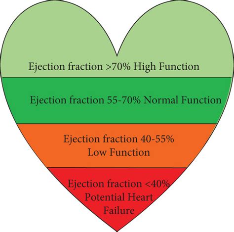 A The Correlation Between The Ejection Fraction And The Cardiac