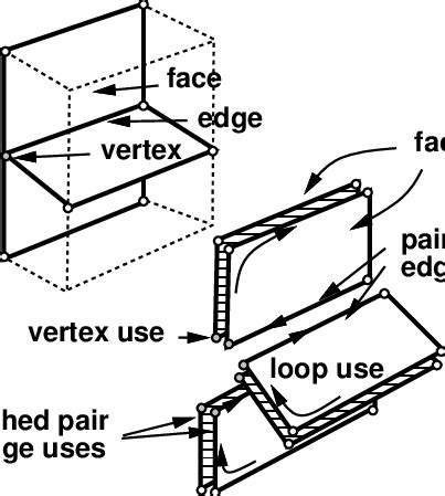Use Of Topological Elements In RED Download Scientific Diagram