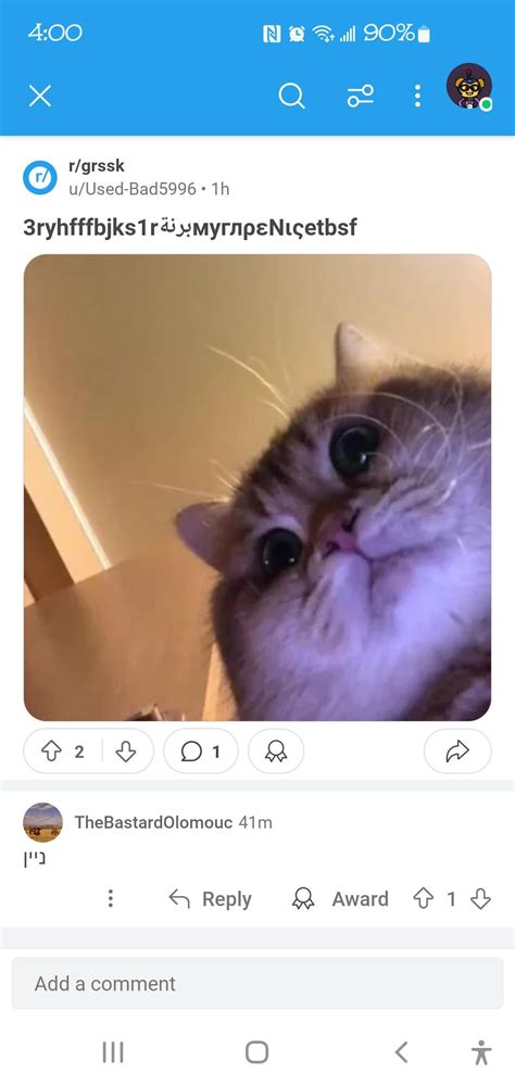 Another Assignment Misunderstood R Lostredditors