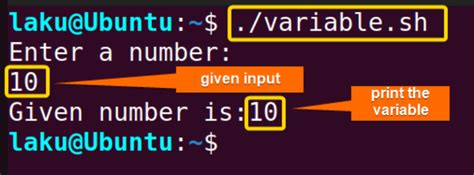 What Is Echo Command In Bash With 3 Practical Examples
