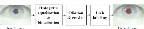 Pupil Detection Process With IR Camera And Result Image Download Scientific Diagram