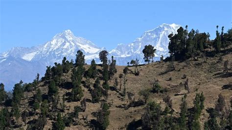 Nepal Registers First Lgbtq Marriage Second Country In Asia To Do So
