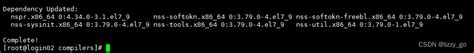 Oneapi安装指南 Csdn博客