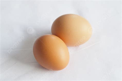 계란 흰색 배경 사진 계란 달걀 하 얀 배경 촬영 배경 일러스트 및 사진 무료 다운로드 Pngtree