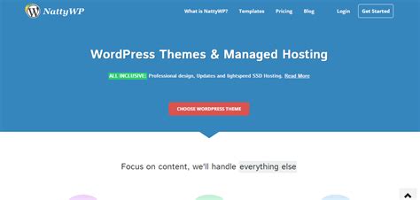 Top 10 Wordpress Themes Providing Websites