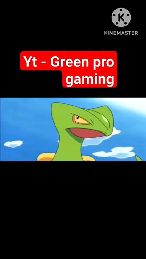 Respect 100 Ash Pikachu Treeko Short Very Short Youtube