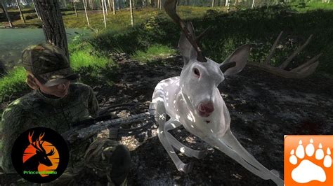 Thehunter Classic Rare Albino Whitetail Deer Buck Redfesthers Falls 4k