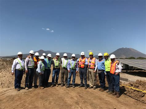 Theaescorpiration Aeselsalvador Bernerd Da Santos