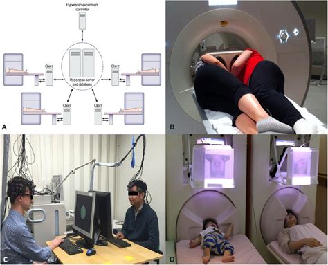 A A Schematic Representation Of Simultaneous Fmri Recording Using Download Scientific