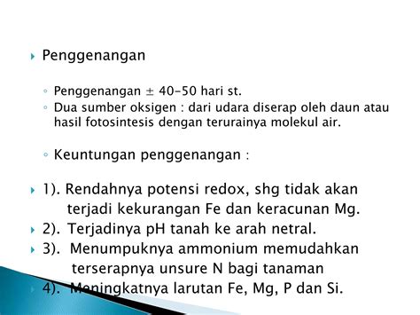 Teknik Budidaya Tanaman Padi PPTX