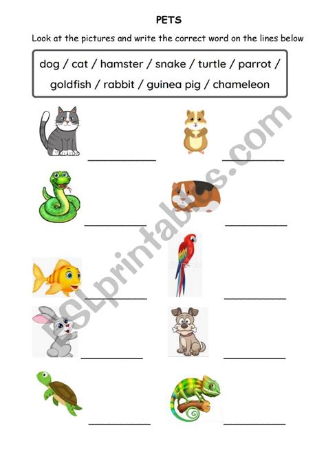 Pets Esl Worksheet By Sofiabayova