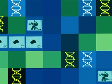 Researchers Open New Leads In Anti Hiv Drug Development Using Compound