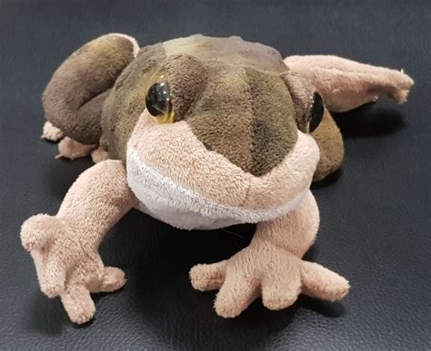 Ouça A História Do Príncipe Sapo Na Voz De Ângela Vasconcelos Ebc Rádios