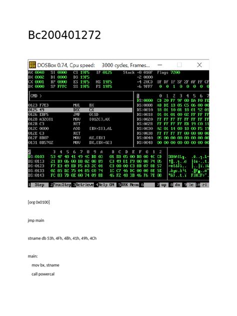 Cs401 Assignment Pdf