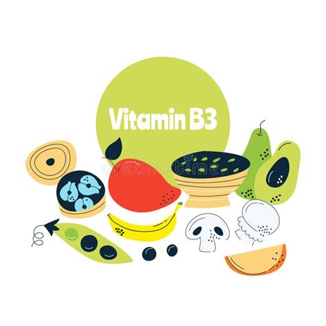 The Main Food Sources Of Vitamin B3 Healthy Food Concept Stock Vector