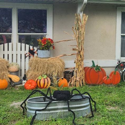 Wineberry Candy Daylily 1 Container Etsy