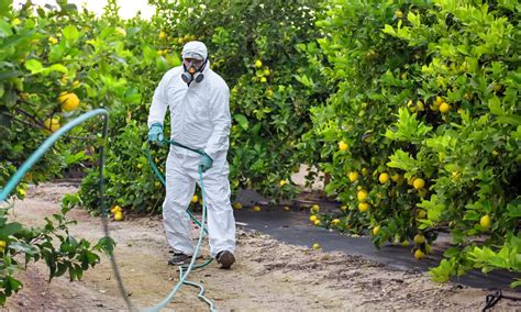 Como Utilizar Epi Agrícola Na Aplicação De Defensivos