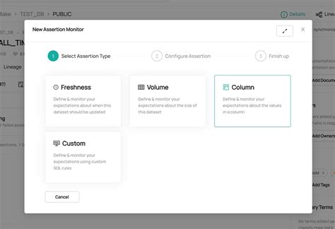 Detecting Deep Data Quality Issues With Column Level Assertions