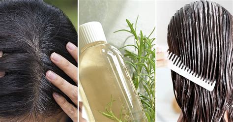 Balsamo Fai Da Te Al Rosmarino Per Scurire I Capelli E Bloccarne La Caduta
